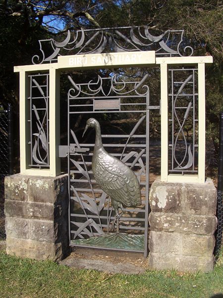 Sydney - City and Suburbs: Centennial Park, Bird Sanctuary